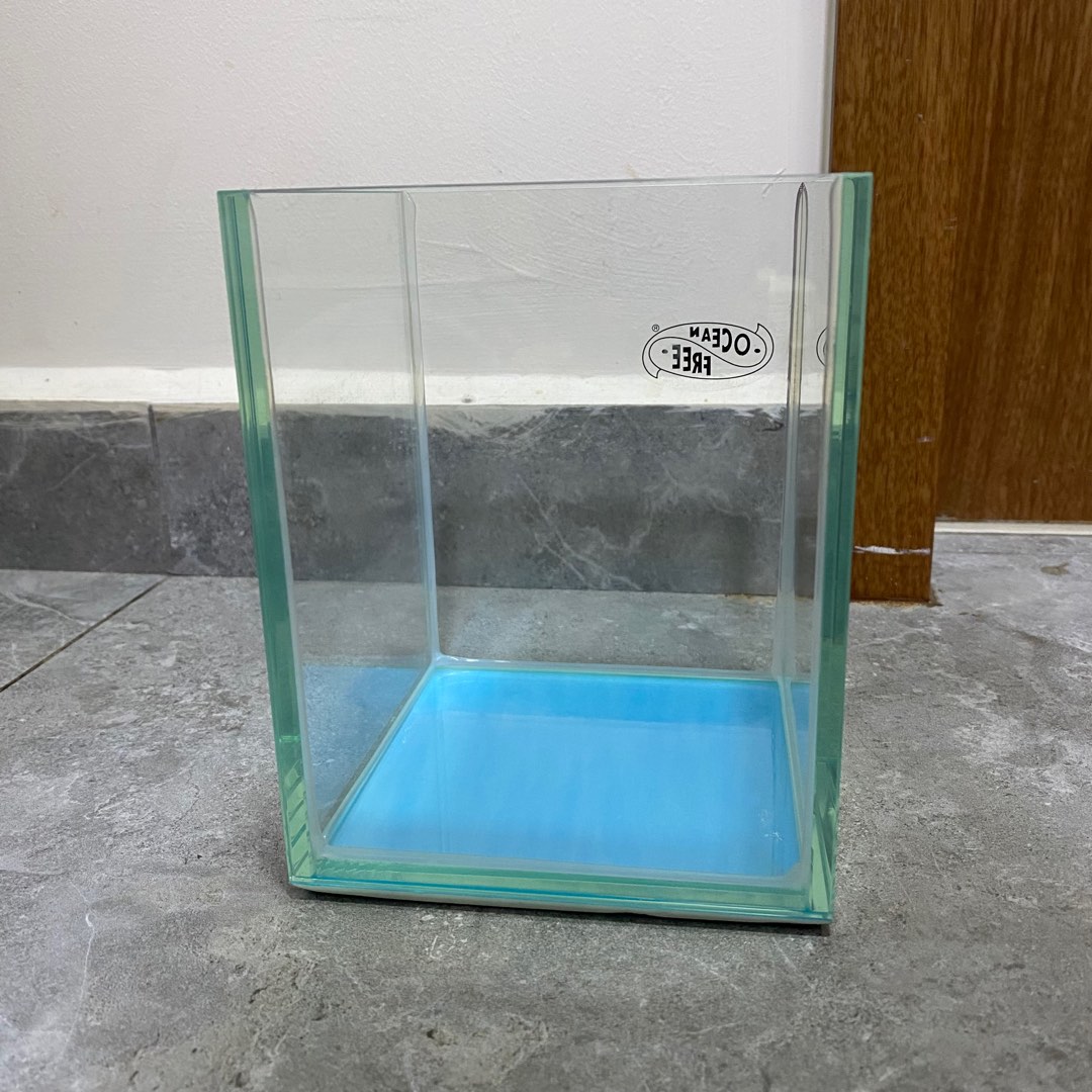 Betta Fish Glass Tank, Pet Supplies, Homes & Other Pet Accessories on ...