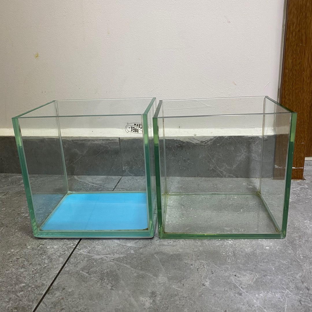 Betta Fish Glass Tank, Pet Supplies, Homes & Other Pet Accessories on ...