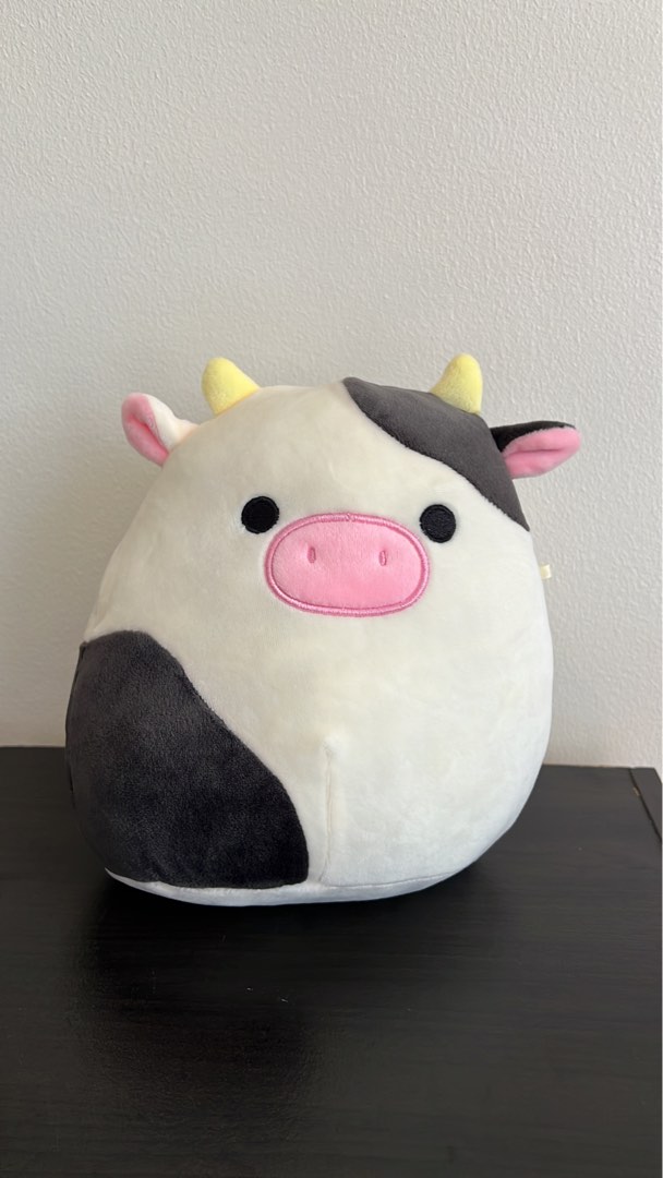 Connor the cow Squishmallow, Hobbies & Toys, Toys & Games on Carousell