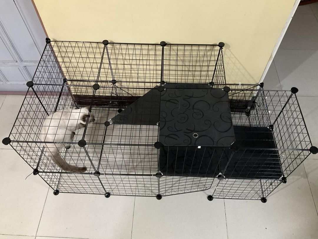 Customizable Cat Cage, Pet Supplies, Homes & Other Pet Accessories on ...