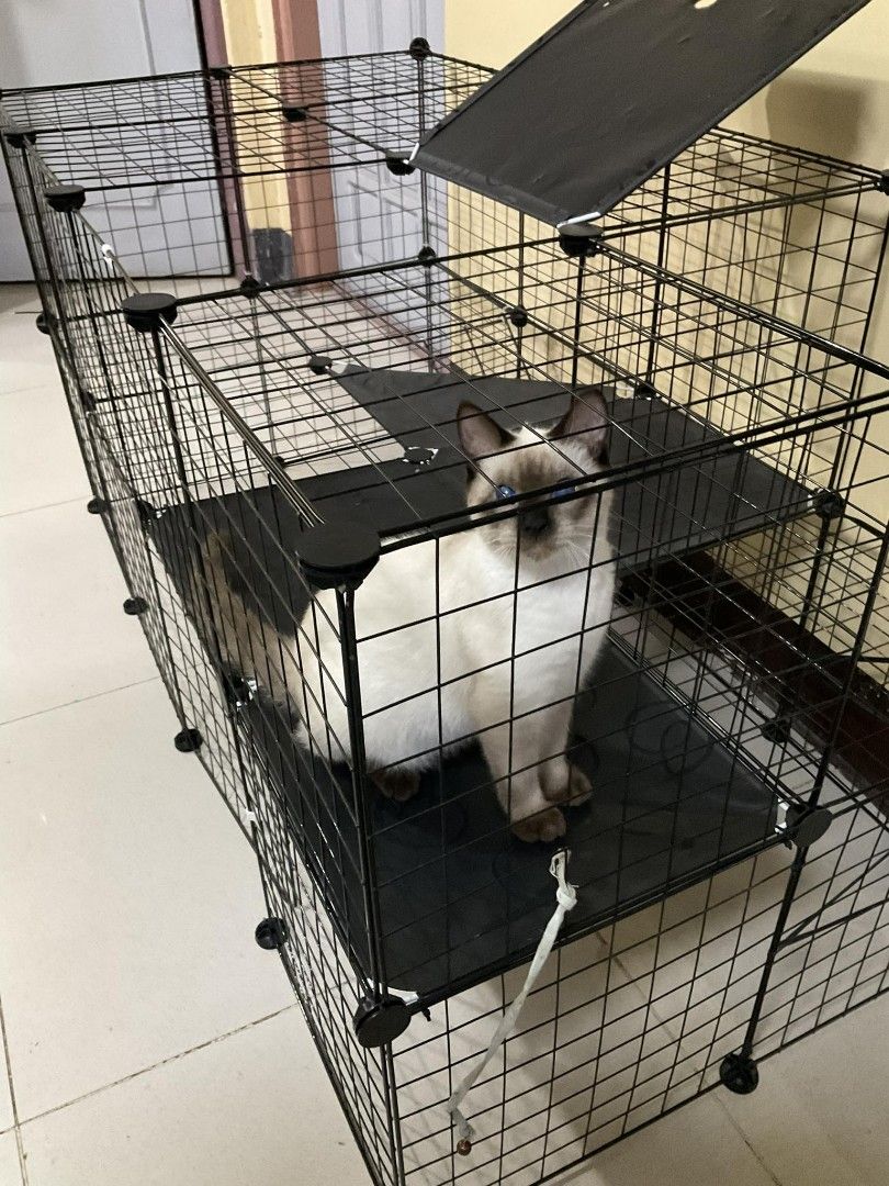 Customizable Cat Cage, Pet Supplies, Homes & Other Pet Accessories on ...