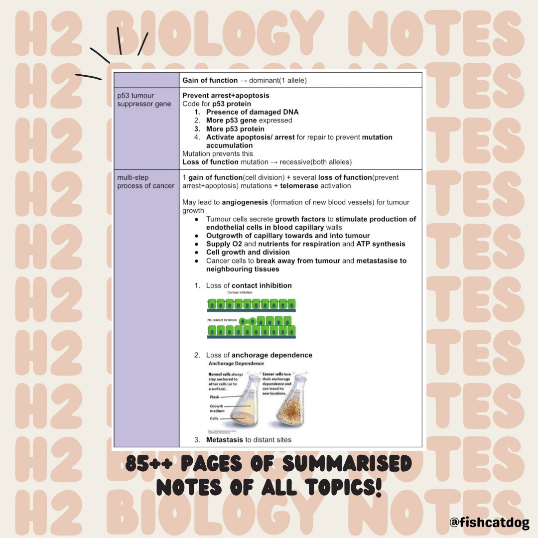 H2 Biology A Levels Notes, Hobbies & Toys, Books & Magazines, Textbooks ...