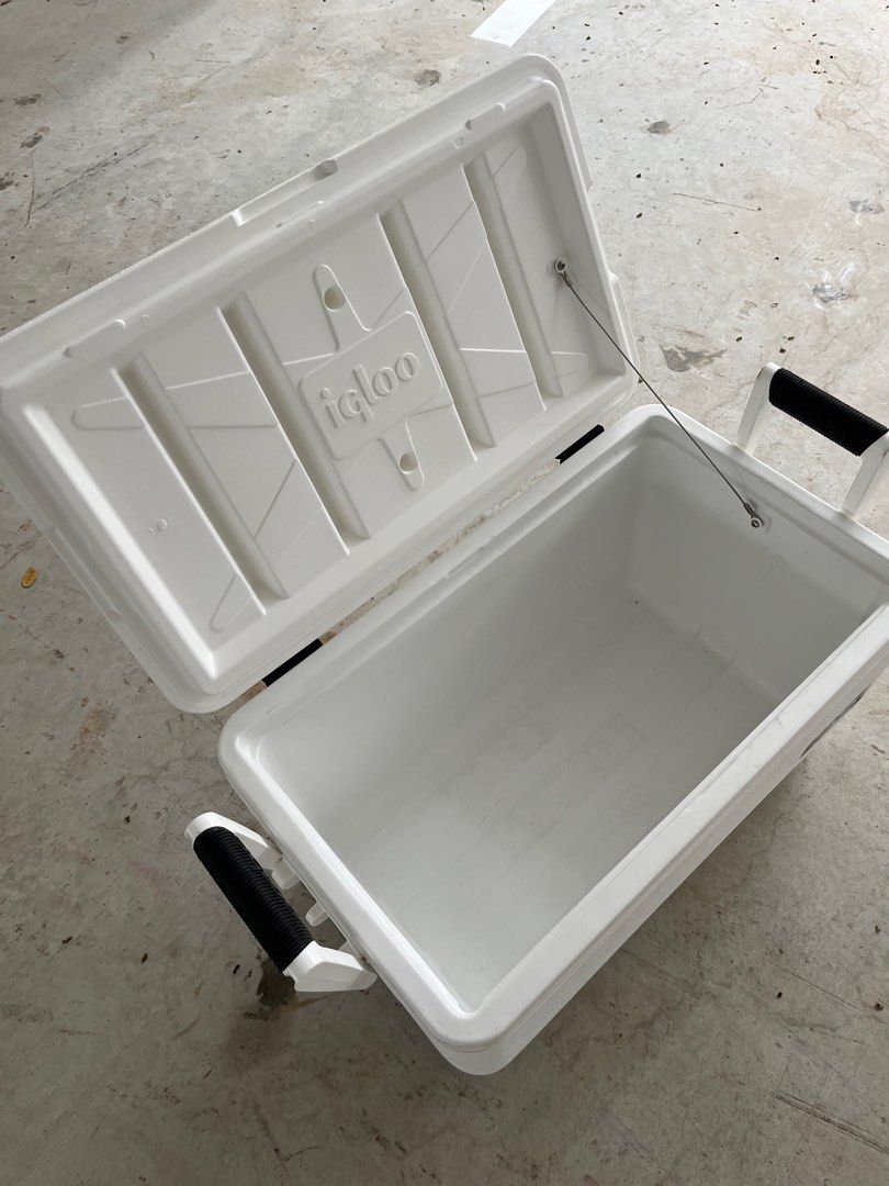 Igloo Cooler Box (34 liters), Furniture & Home Living, Home Improvement ...