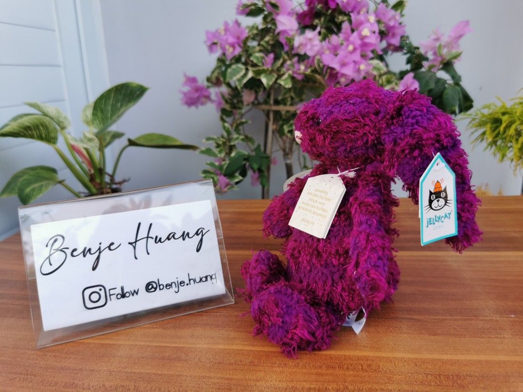 Jellycat Special Edition Jamie Bunny, Hobbies & Toys, Toys & Games on ...