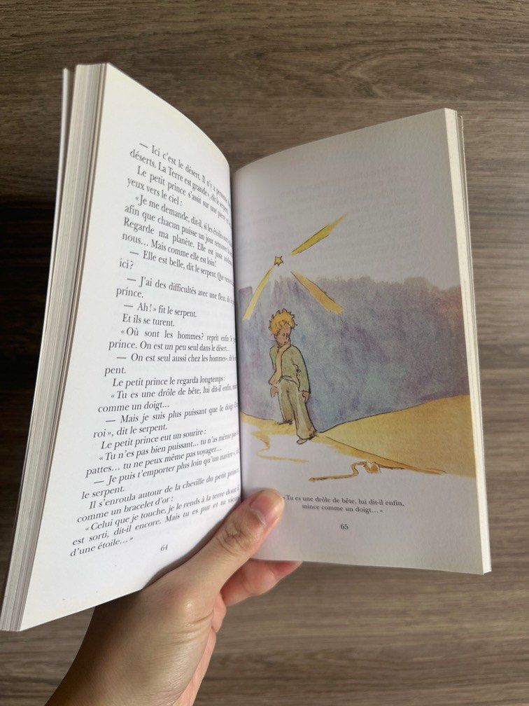 Le Petit Prince (The Little Prince in French), Hobbies & Toys, Books ...