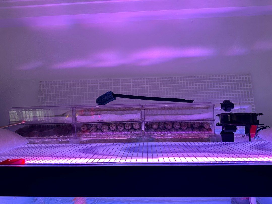 N30 4ft x 2ft x 2ft tank set, Pet Supplies, Homes & Other Pet ...