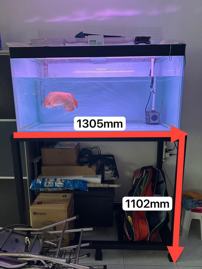 N30 4ft x 2ft x 2ft tank set, Pet Supplies, Homes & Other Pet ...