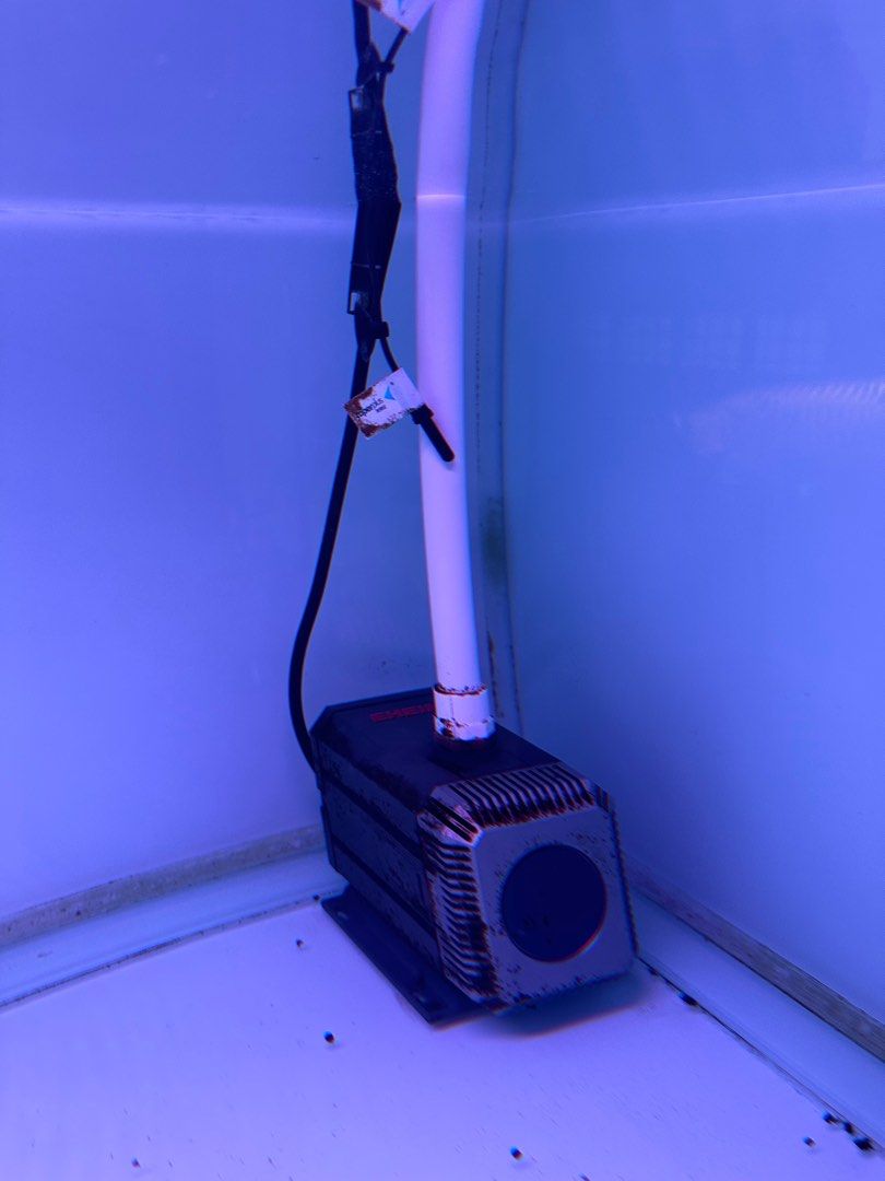 N30 4ft x 2ft x 2ft tank set, Pet Supplies, Homes & Other Pet ...