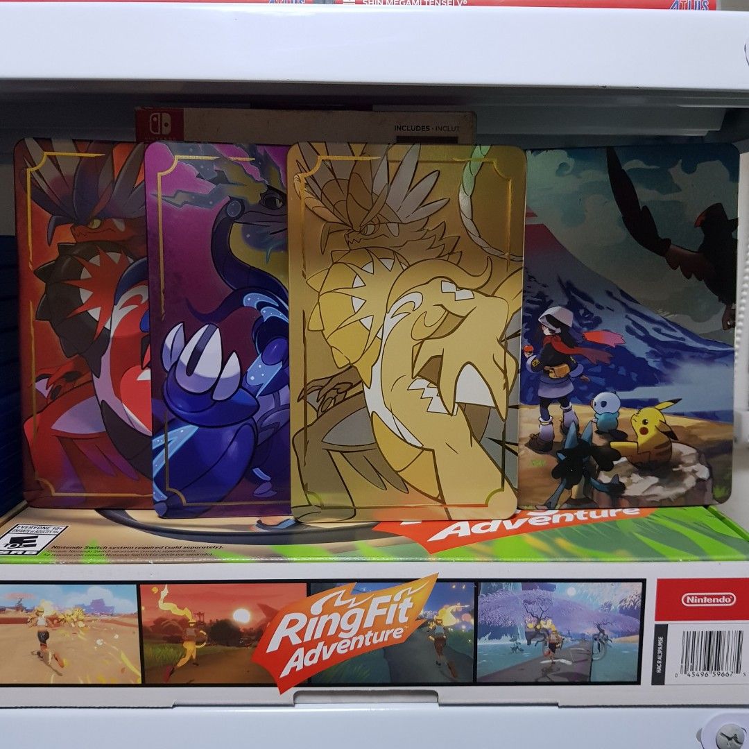 Pokemon Steelcase for Nintendo Switch, Video Gaming, Video Games ...