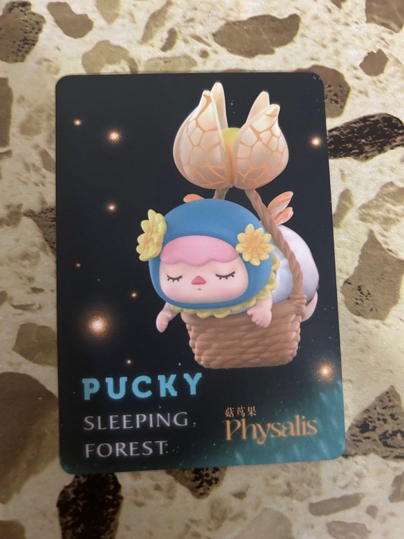 Pop Mart PUCKY Sleeping Forest Series : Physalis, Hobbies & Toys, Toys ...