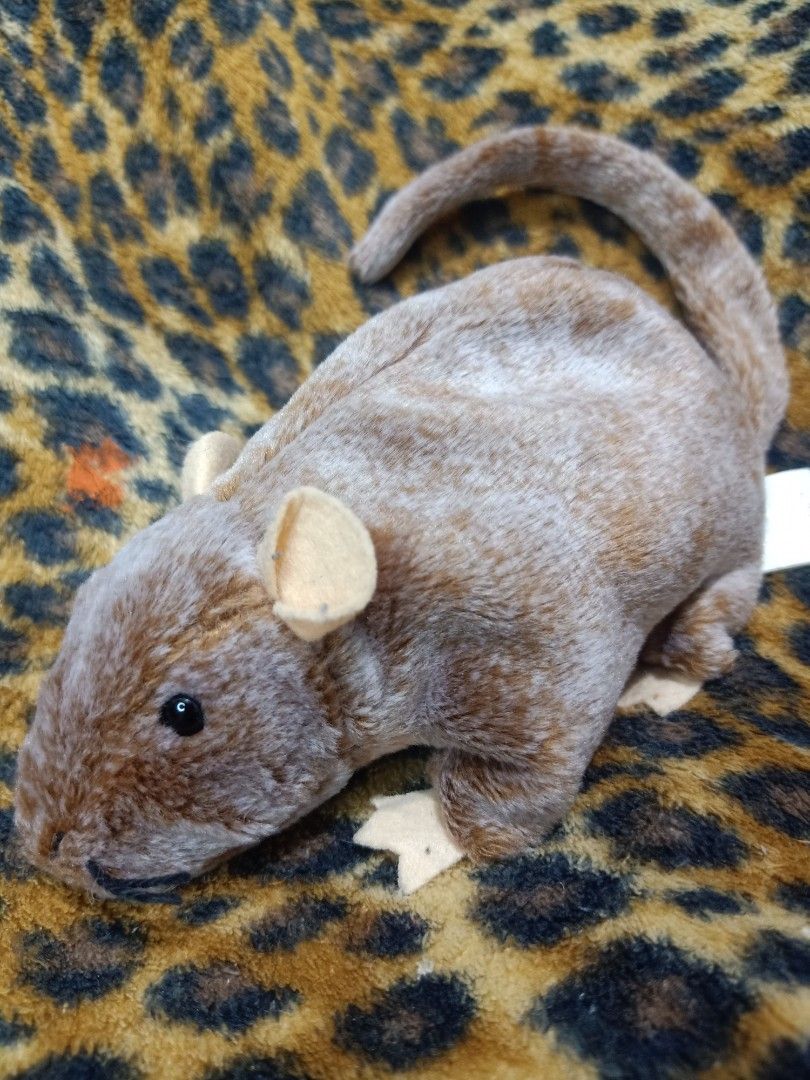 REALISTIC WHITE MOUSE / RAT "TIPTOE' PLUSH TOY BY TY, Hobbies & Toys ...
