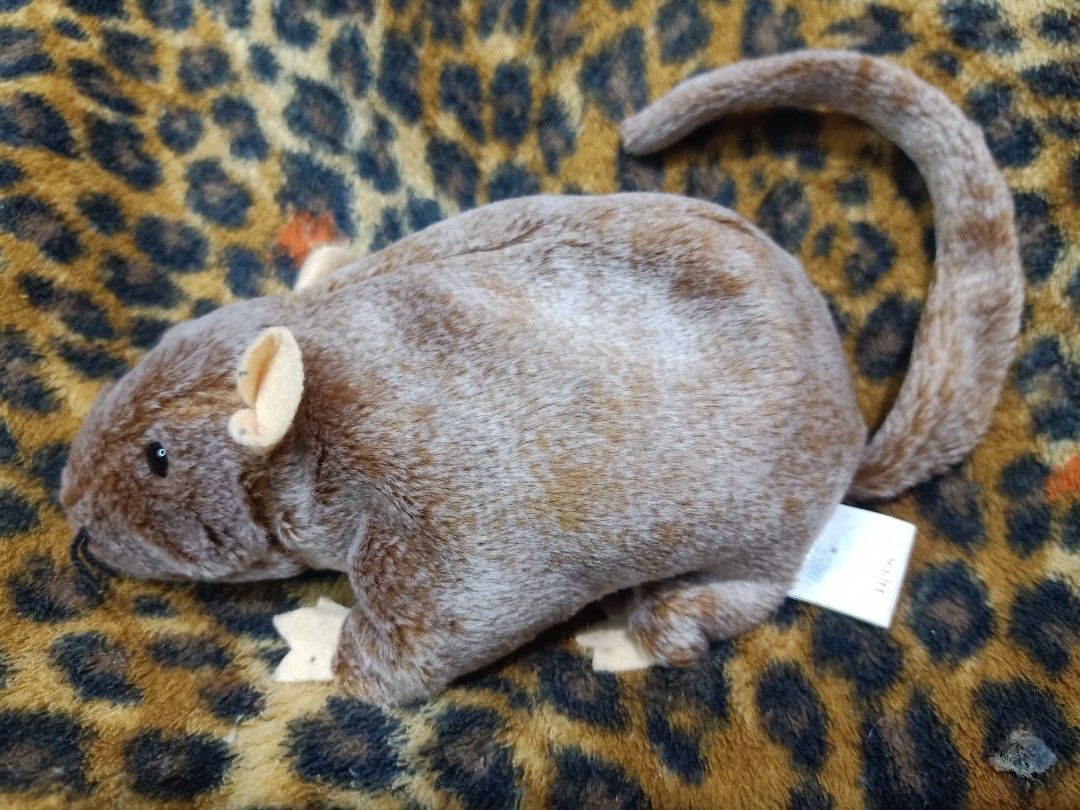 REALISTIC WHITE MOUSE / RAT "TIPTOE' PLUSH TOY BY TY, Hobbies & Toys ...