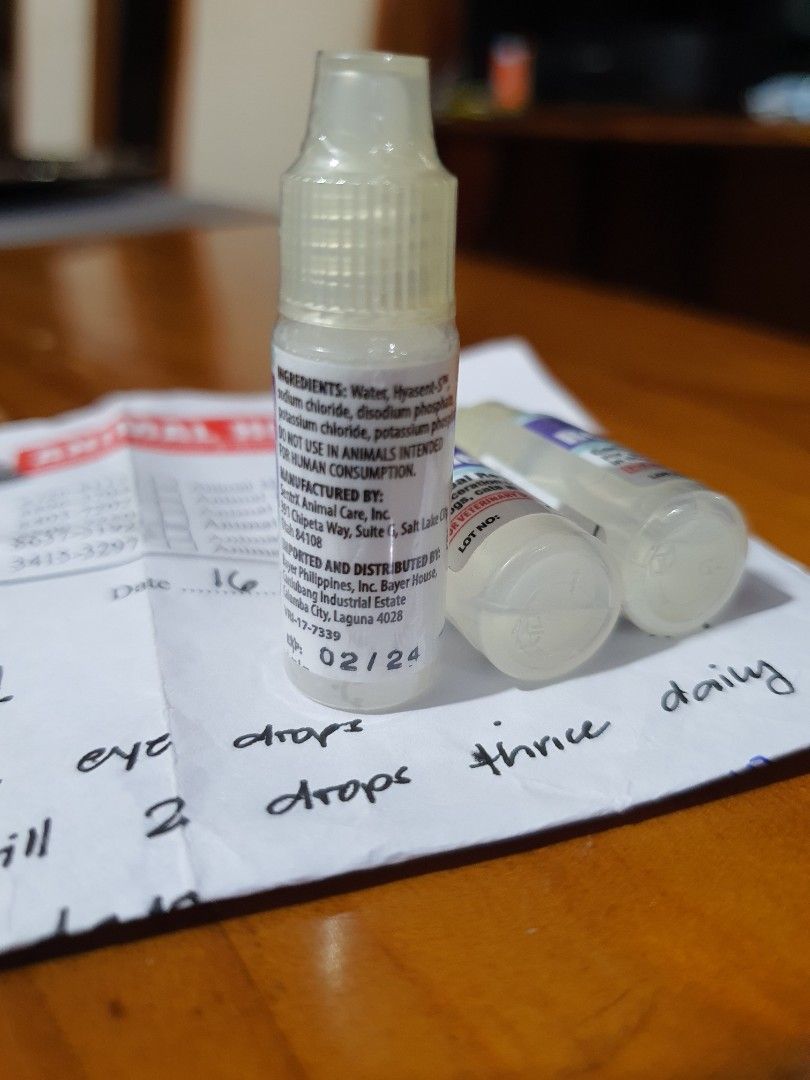 REMEND Corneal Repair Gel, Pet Supplies, Health & Grooming on Carousell