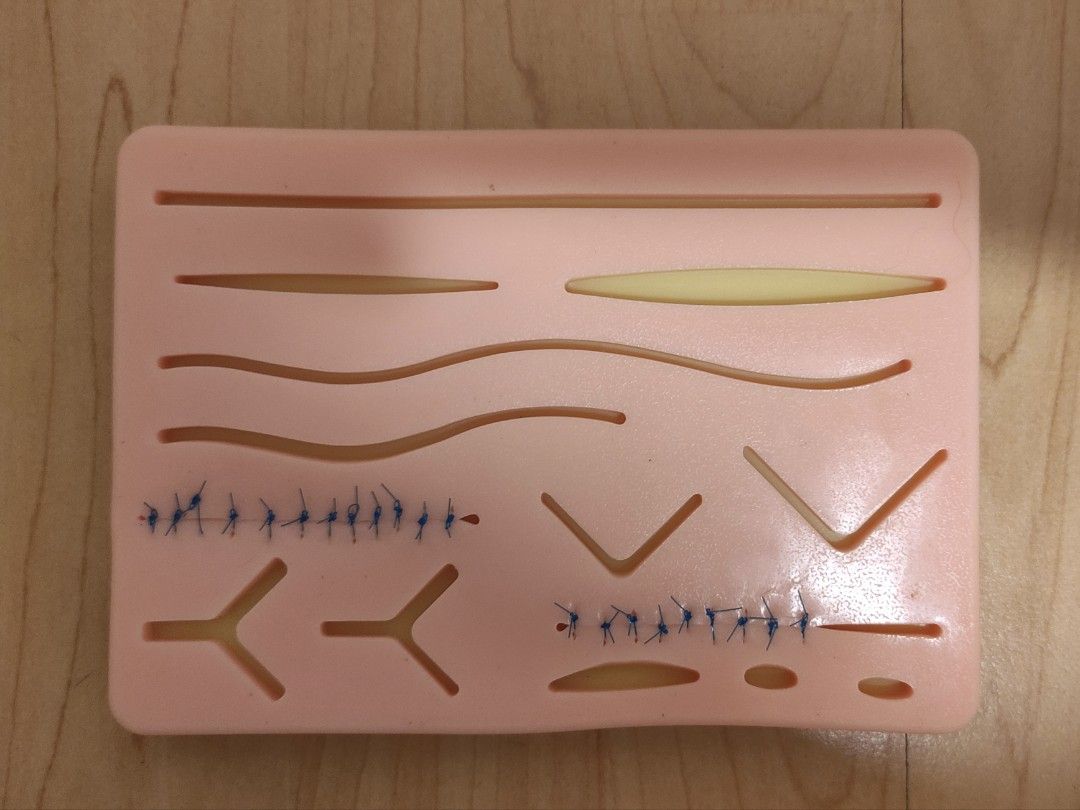 Suturing Practice Kit with 2 x FREE Mersilk 4-0 Sutures [For Medical ...