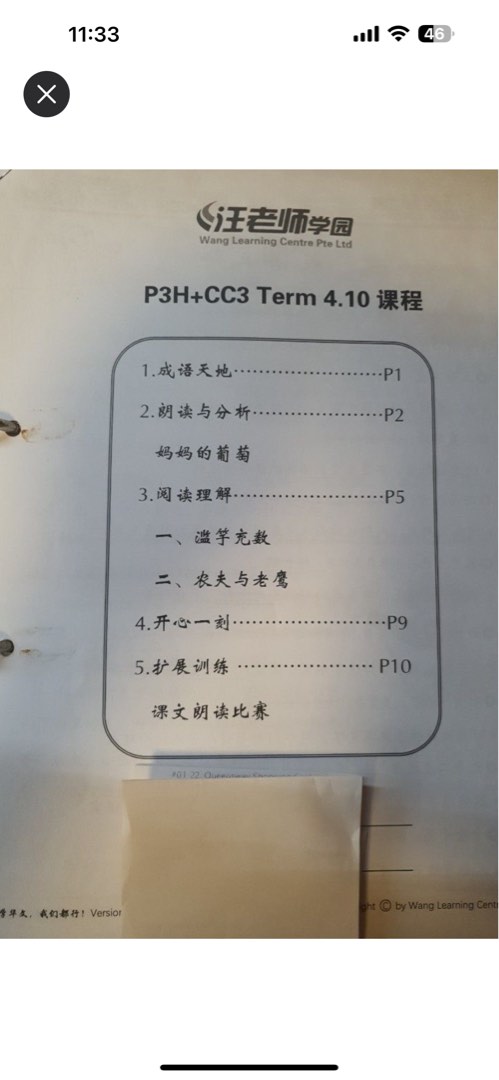 Wang learning centre complete 2023 P3 3 hour class notes, Hobbies ...