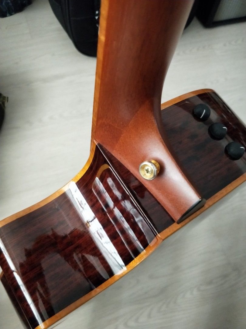 2008 Taylor Fall Limited Edition Cocobolo GA, Hobbies & Toys, Music ...