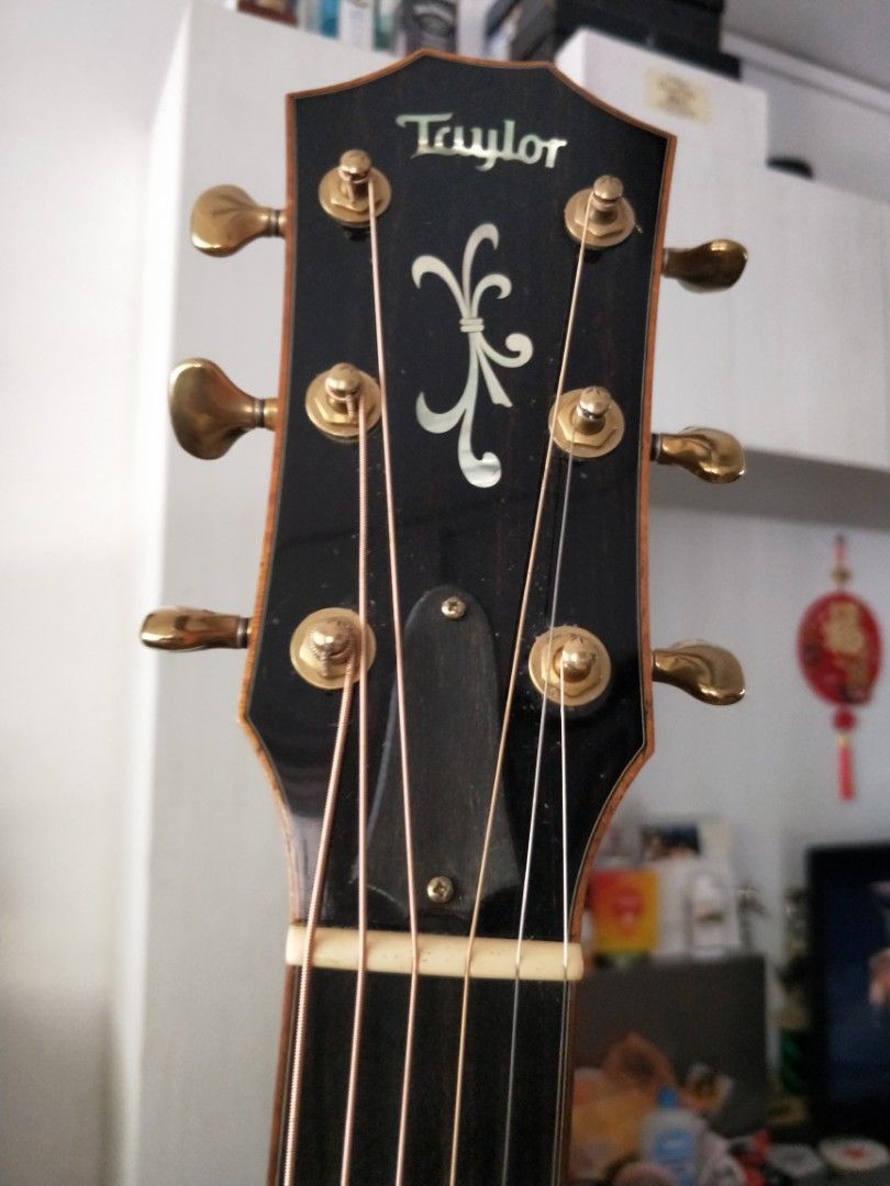 2008 Taylor Fall Limited Edition Cocobolo GA, Hobbies & Toys, Music ...