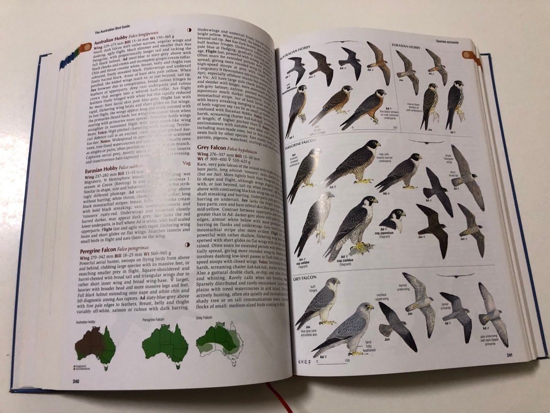 Australian Bird Guide, Hobbies & Toys, Books & Magazines, Fiction & Non ...