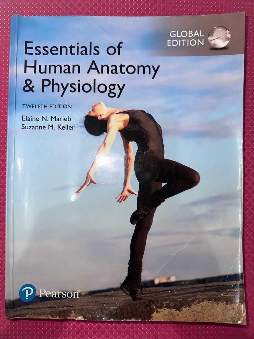 Essentials of Human Anatomy & Pathophysiology, 12th Edition (Marieb ...