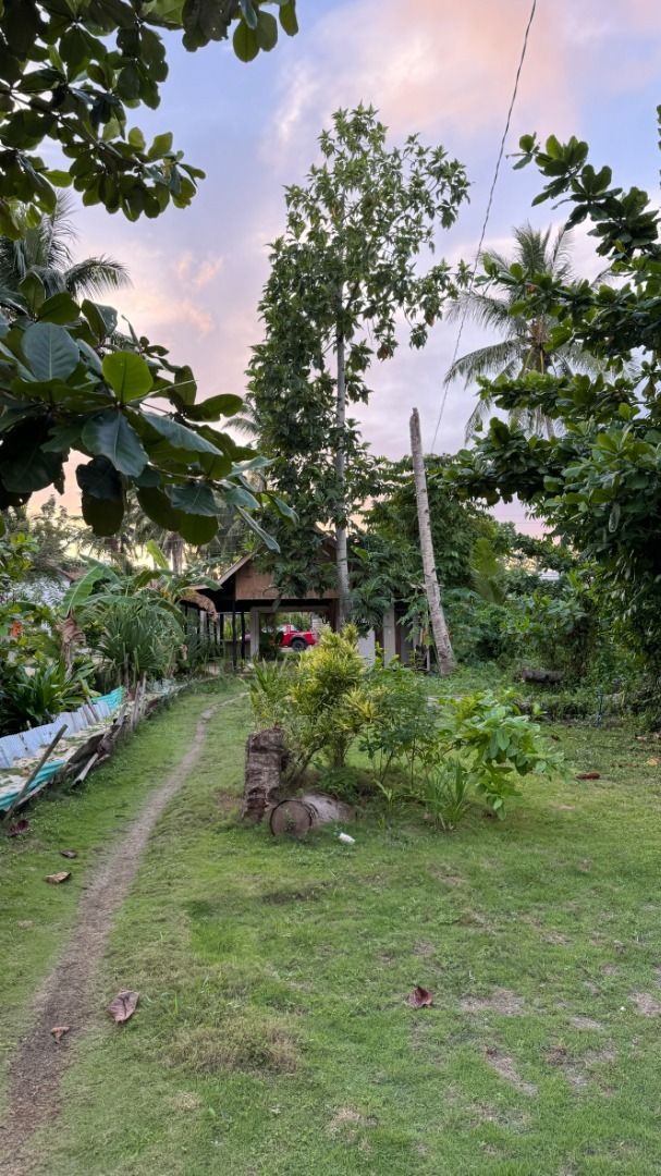 Siargao: Beach Front - Beach Property in Gen Luna Siargao along Tourism ...