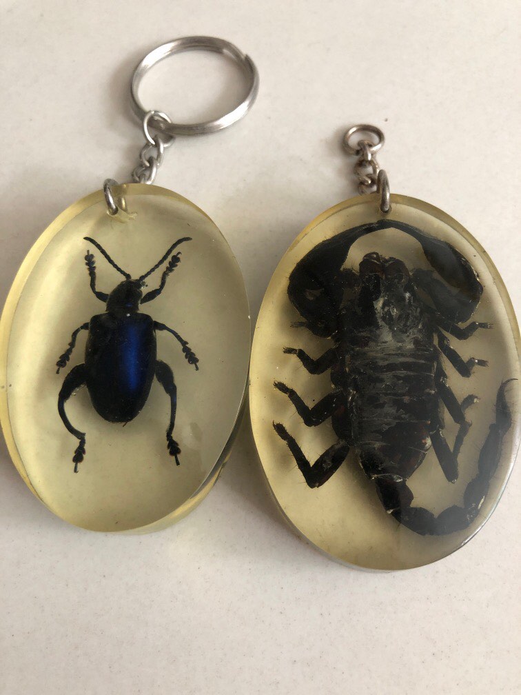 Insect keychains, Women's Fashion, Jewelry & Organisers, Precious ...