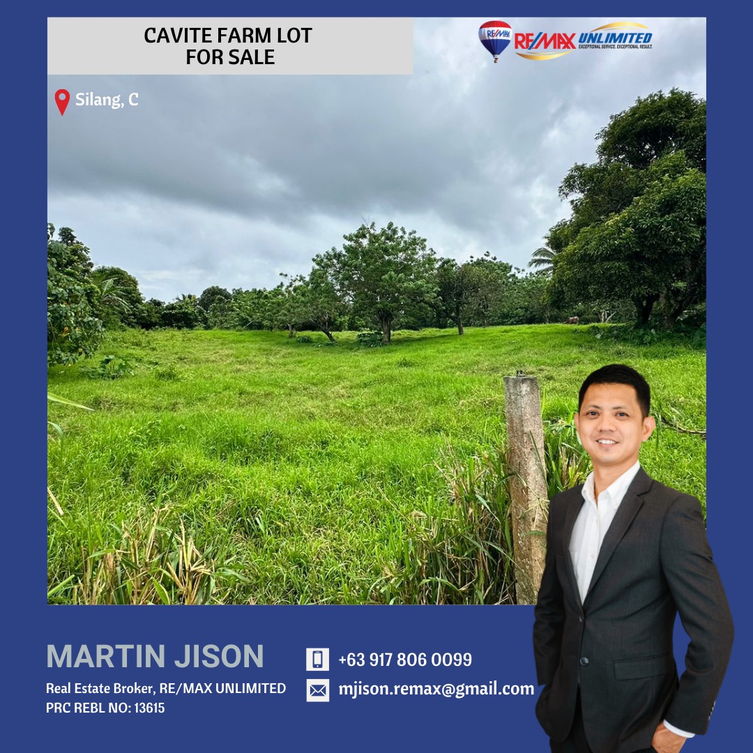 PDM085 - Silang Cavite Farm Lot For Sale, Property, For Sale, Lot on ...