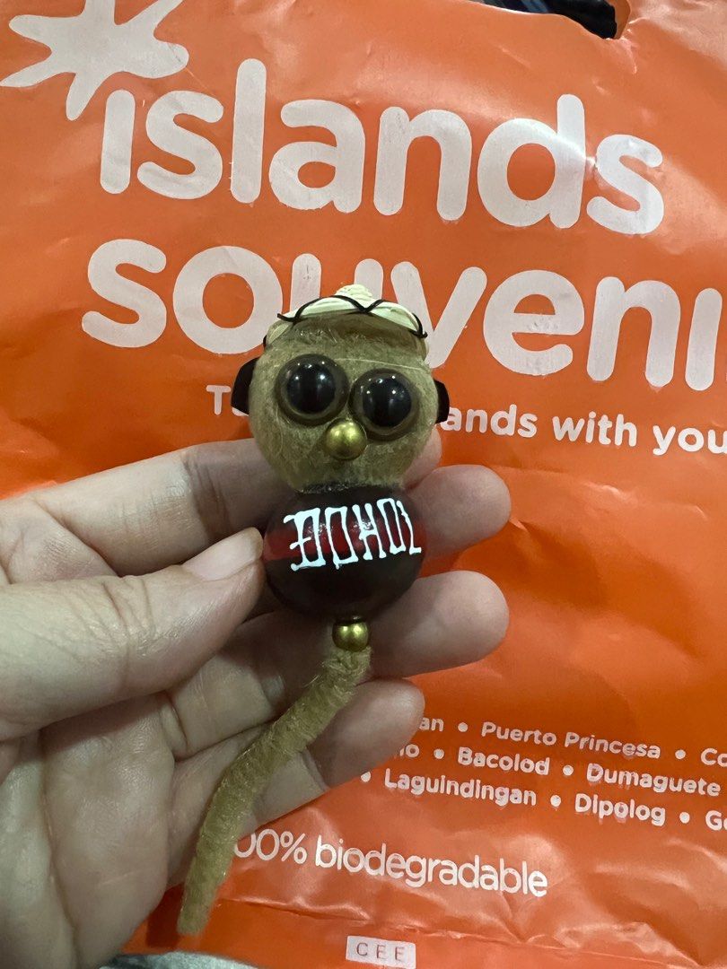Tarsier Bohol Magnet, Hobbies & Toys, Toys & Games on Carousell