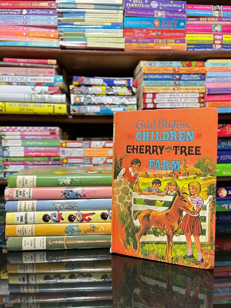 Vintage Enid Blyton Books, Hobbies & Toys, Books & Magazines, Children ...