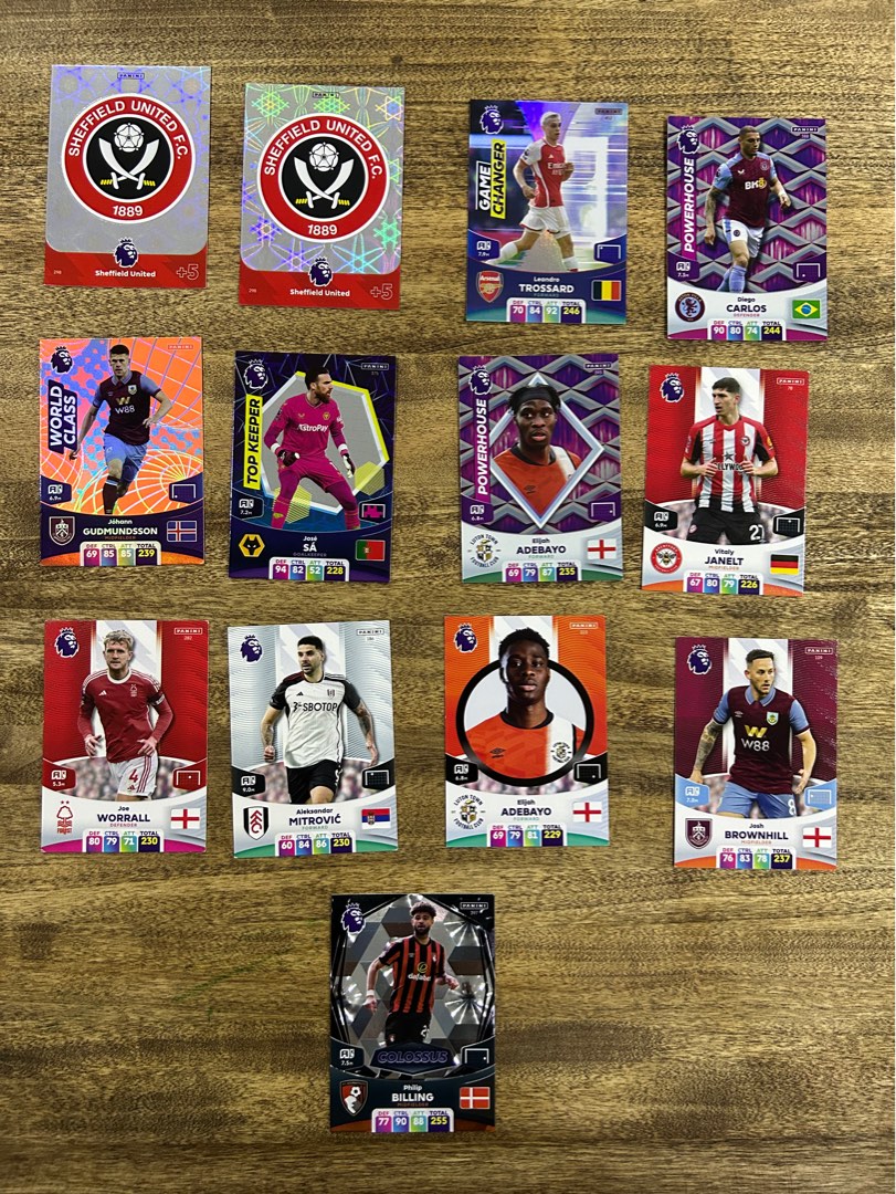WTT 2024 premier league cards, Hobbies & Toys, Memorabilia ...
