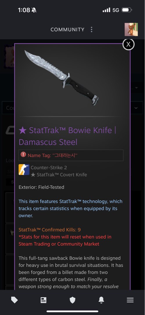 csgo knife Stattrack bowie knife damacus steel, Video Gaming, Video ...