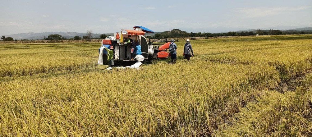 Farm Land - 11.9 Hectares, Property, For Sale, Lot on Carousell