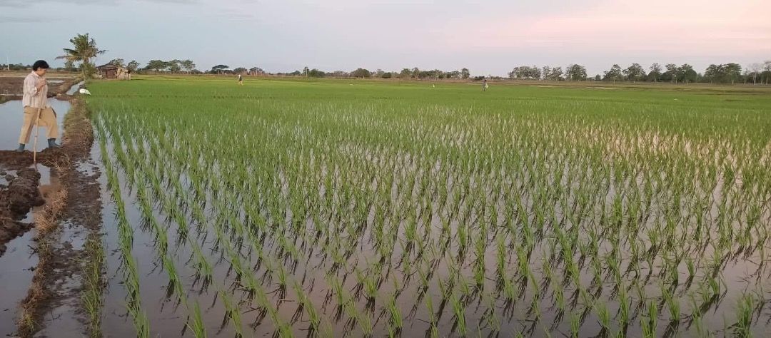 Farm Land - 11.9 Hectares, Property, For Sale, Lot on Carousell