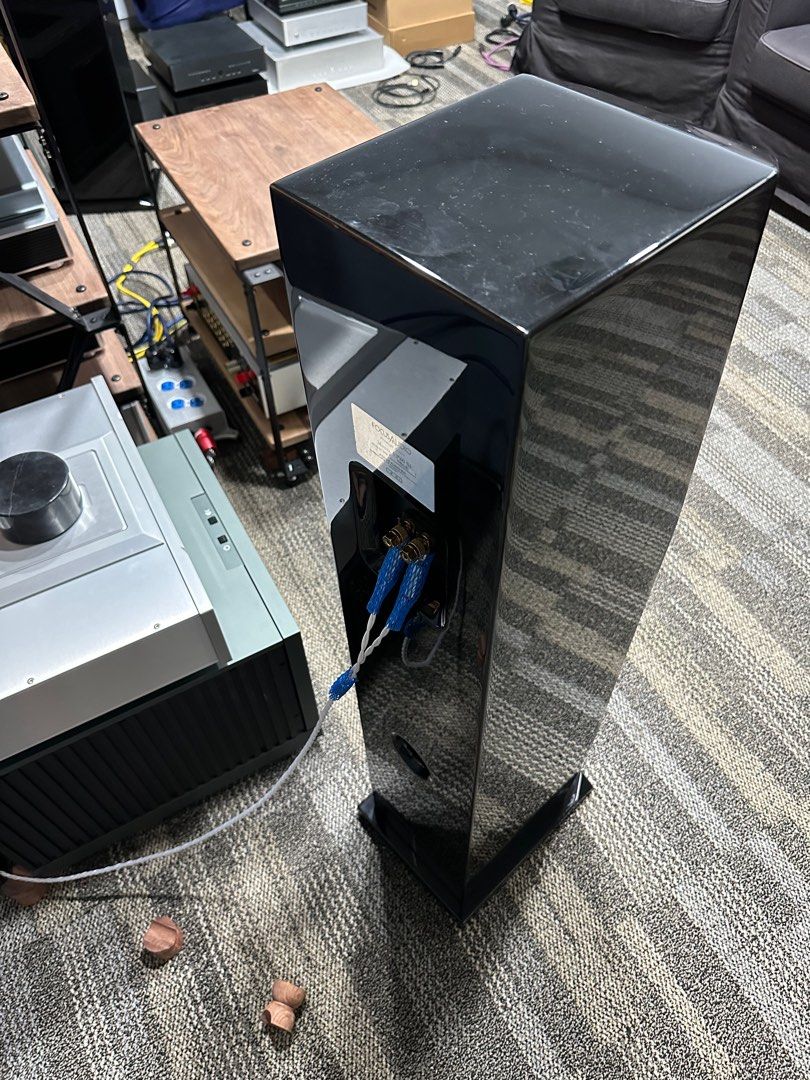 Focus Audio FP80SE, Audio, Soundbars, Speakers & Amplifiers on Carousell
