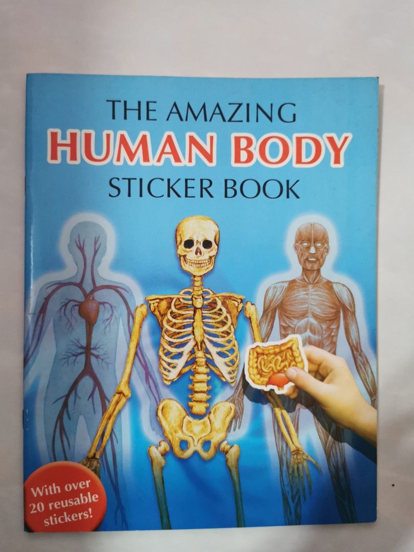 Human body sticker book, Hobbies & Toys, Books & Magazines, Children's ...