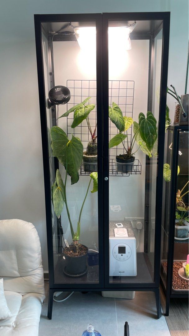 Ikea milsbo display cabinet, Furniture & Home Living, Furniture ...