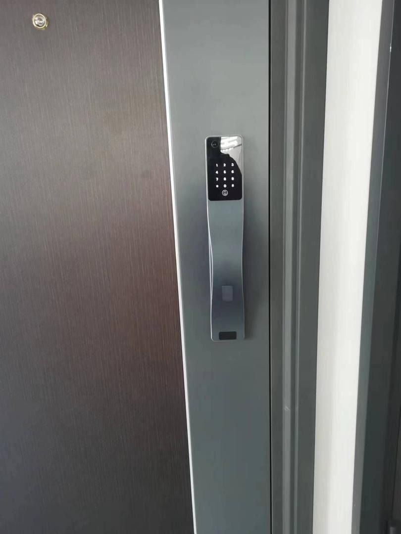 KINGSEND [CHINA] DOOR DIGITAL LOCK (Face & Plam) [For HDB /BTO/CONDO ...