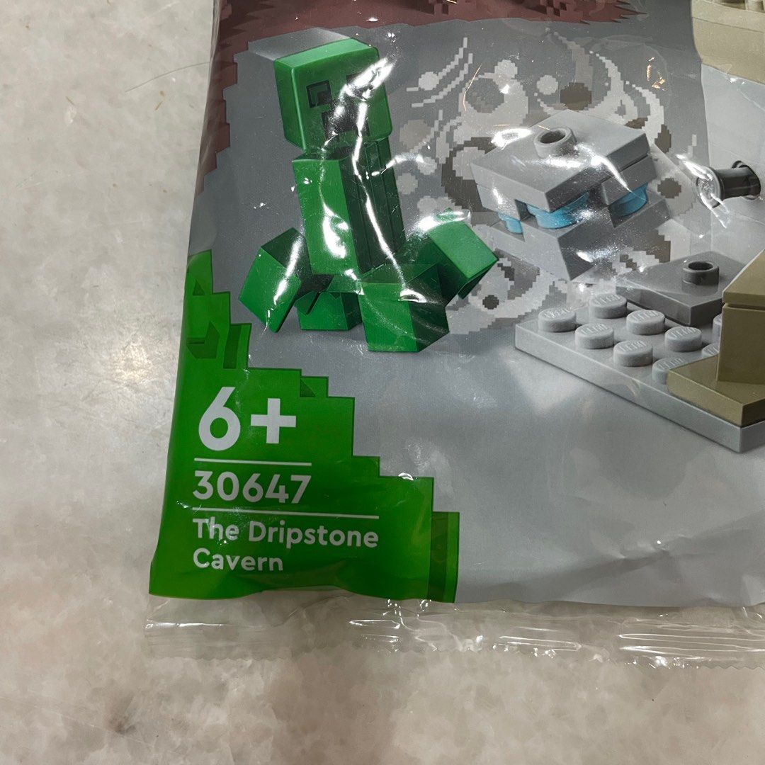 LEGO Minecraft 30647, Hobbies & Toys, Toys & Games on Carousell
