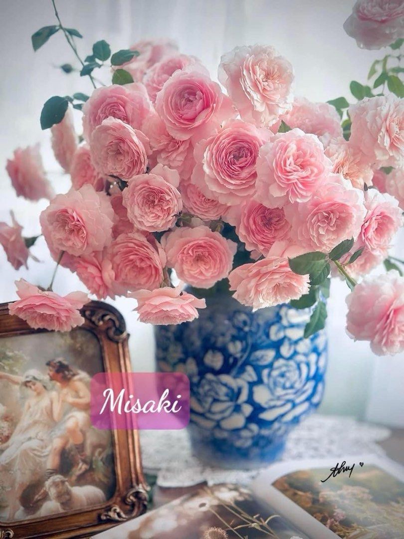 Misaki Fresh Flower, Hobbies & Toys, Stationery & Craft, Flowers ...