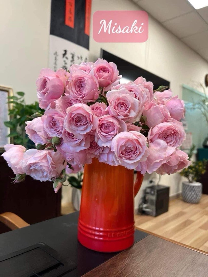 Misaki Fresh Flower, Hobbies & Toys, Stationery & Craft, Flowers ...