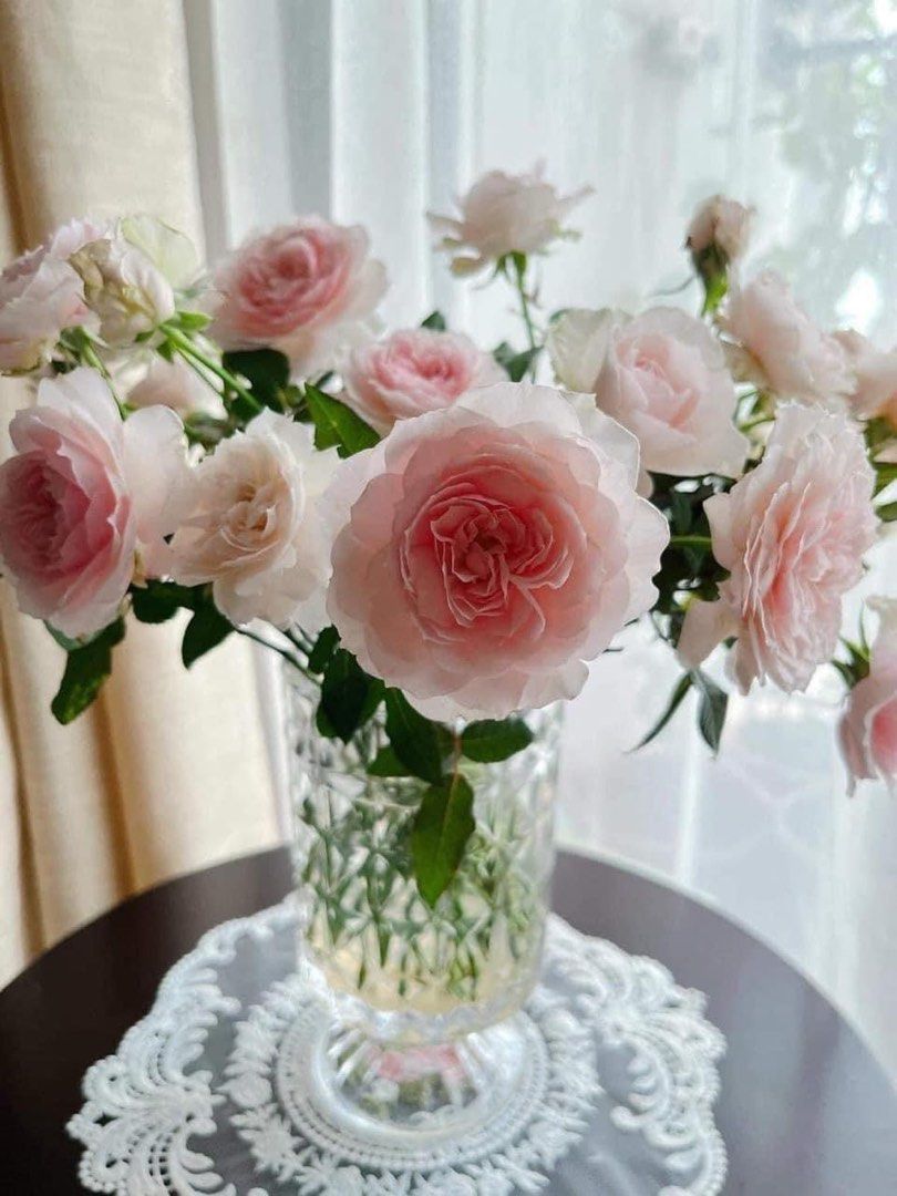 Misaki Fresh Flower, Hobbies & Toys, Stationery & Craft, Flowers ...