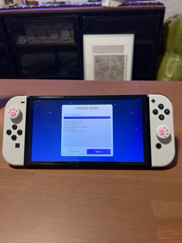 Modded/Jailbroken Nintendo Switch OLED console 256gb, Video Gaming ...