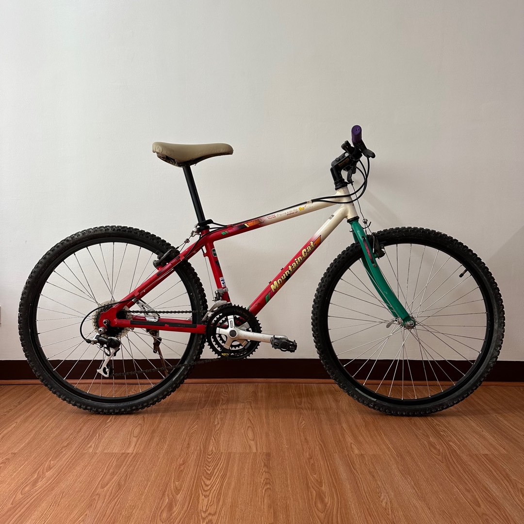 Panasonic Mountain Cat Retro MTB, Sports Equipment, Bicycles & Parts ...