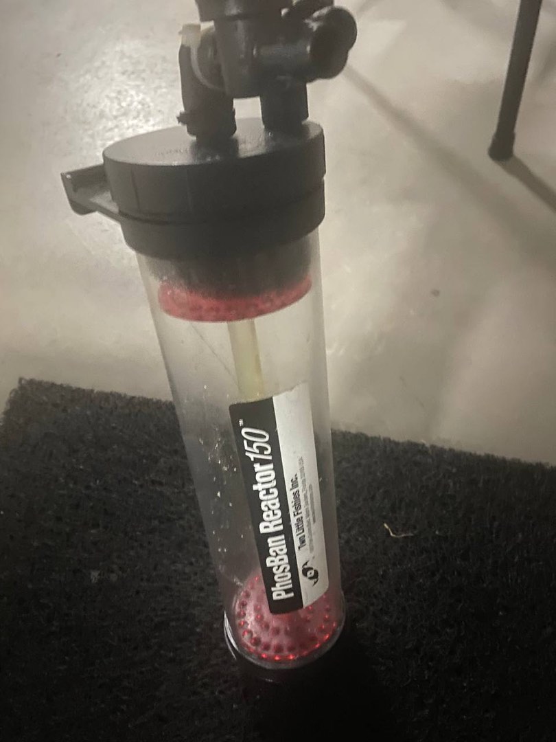 Reactor for marine or freshwater tanks, Pet Supplies, Homes & Other Pet ...