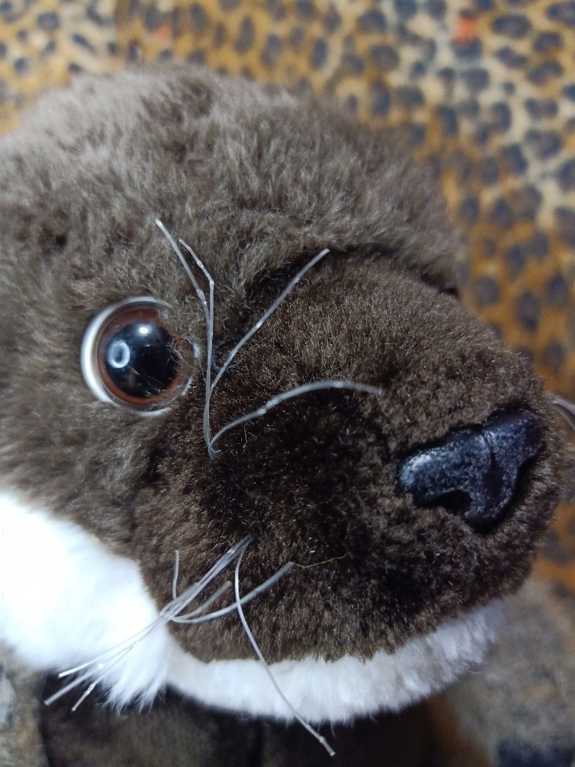 SUPER LARGE REALISTIC OTTER / SEA OTTER PLUSH TOY, Hobbies & Toys, Toys ...