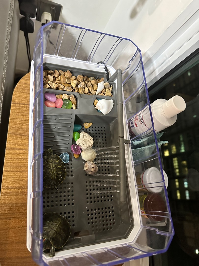 Tortoise tank, Pet Supplies, Homes & Other Pet Accessories on Carousell