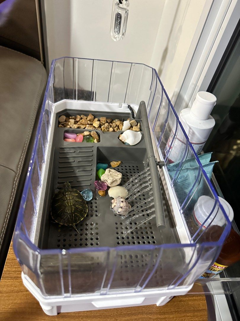 Tortoise tank, Pet Supplies, Homes & Other Pet Accessories on Carousell