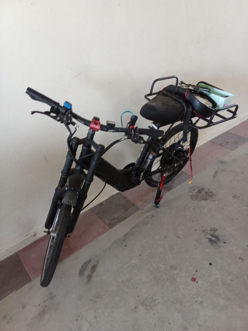 Zebra ebike setup only, Sports Equipment, PMDs, E-Scooters & E-Bikes, E ...