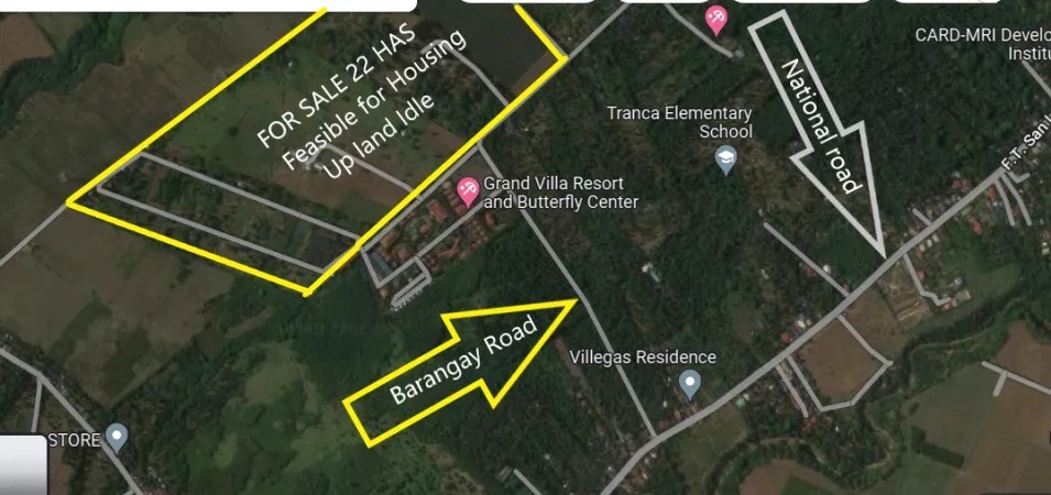 22 Hectares Agricultural Land in Bay, Laguna, Property, For Sale, Lot ...