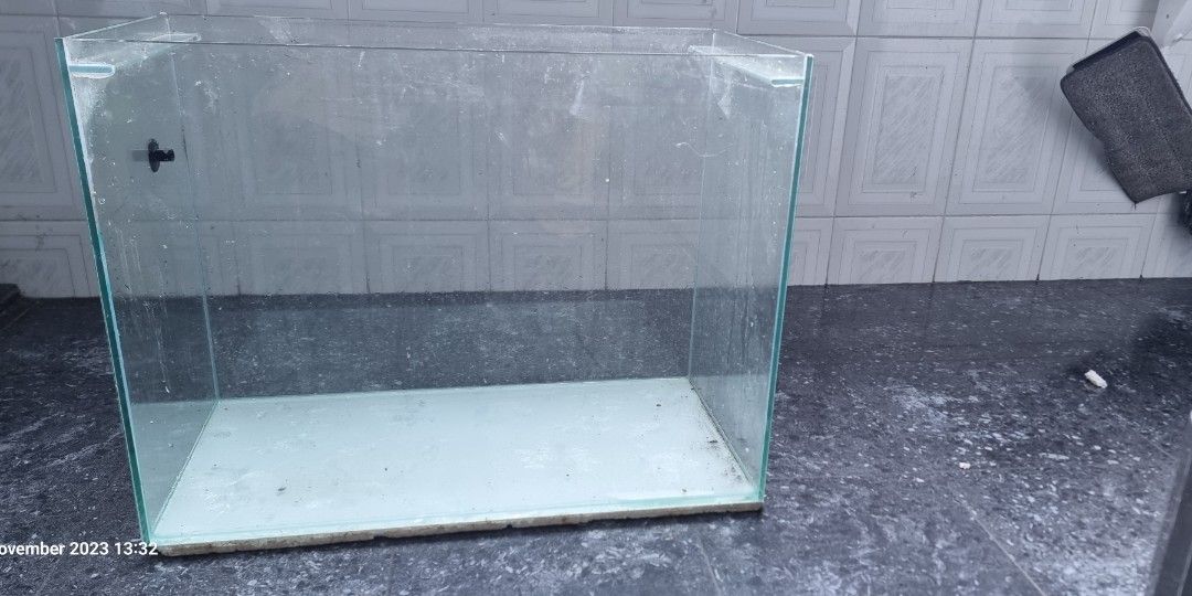 2 feet tank, Pet Supplies, Homes & Other Pet Accessories on Carousell