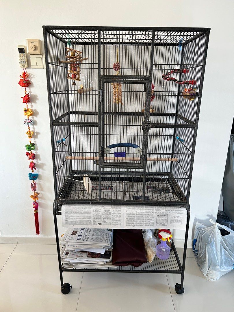Bird cage on wheels, Pet Supplies, Homes & Other Pet Accessories on Carousell